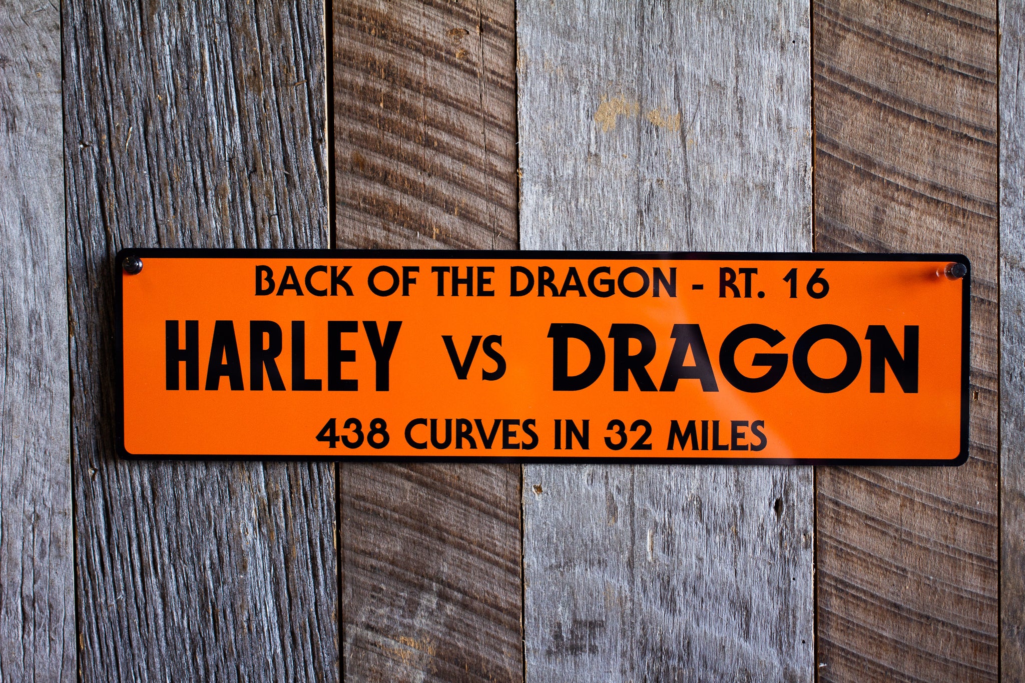 Harley VS Dragon | Back of the Dragon